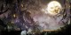 Colin Johanson Outlines Guild Wars 2 Live Game Development – GuildWars2.com